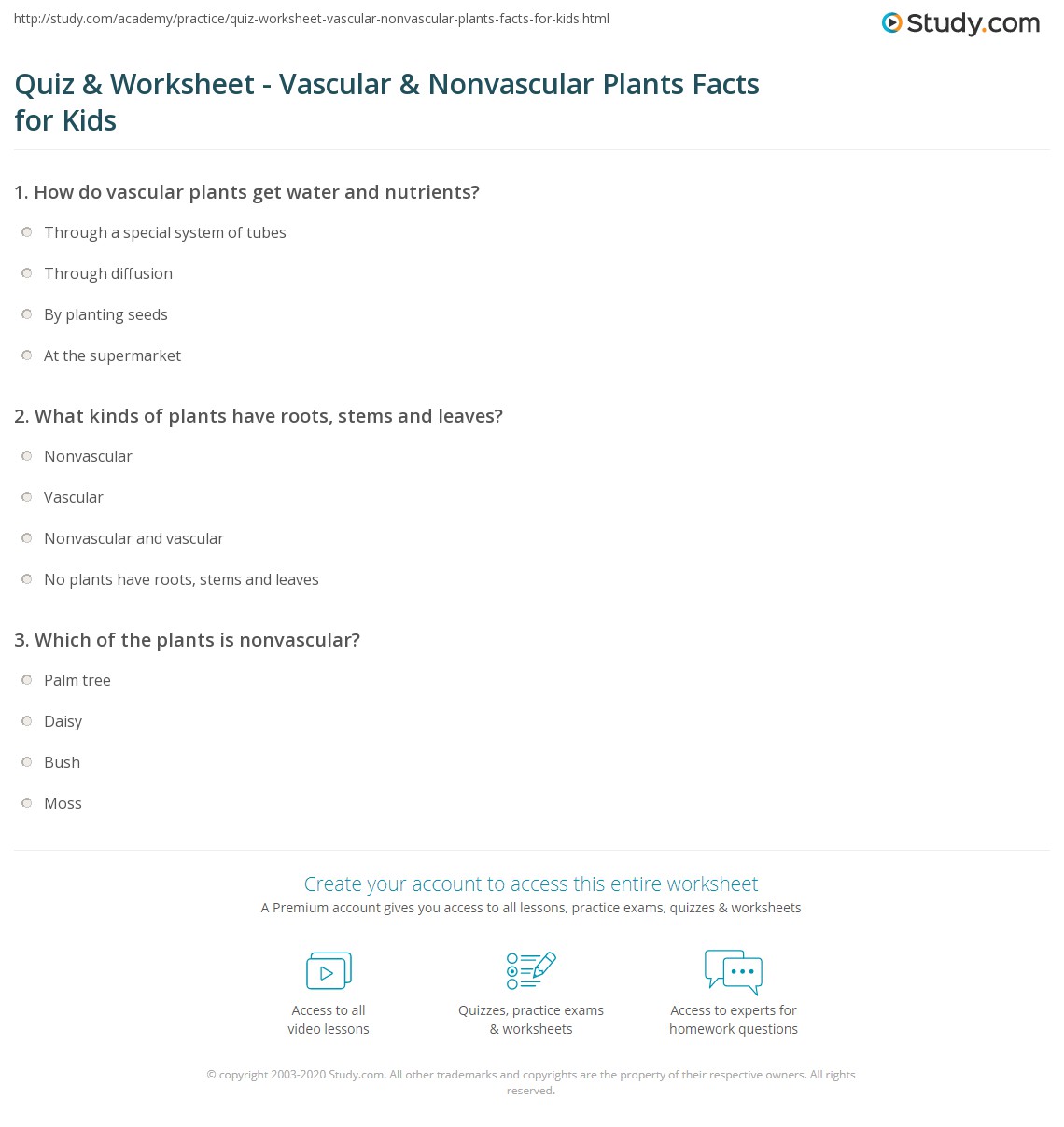 Quiz Worksheet Vascular Nonvascular Plants Facts For Kids Study Quiz Worksheet Vascular Nonvascular Plants Facts For Kids Study