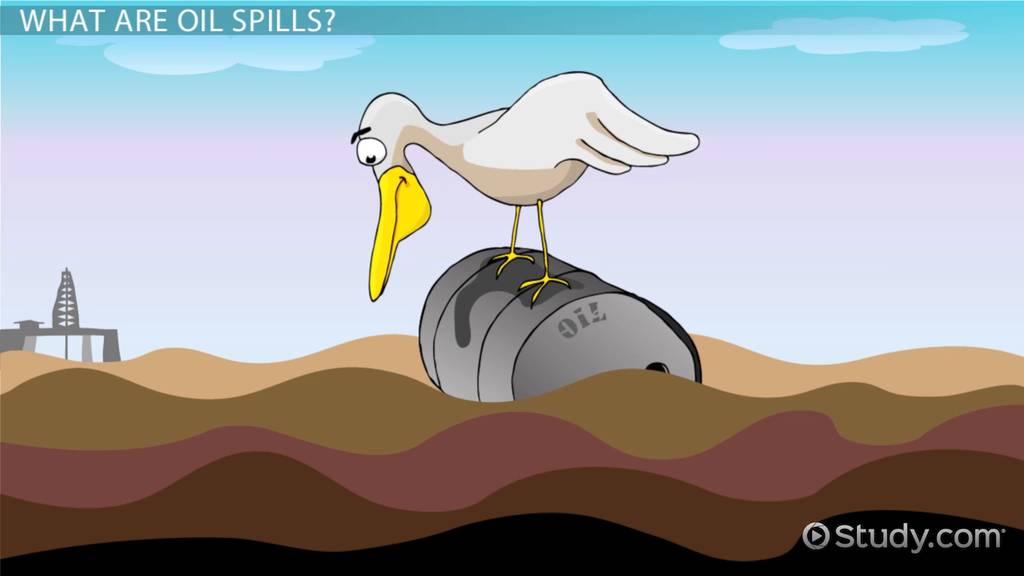 Oil Spill Facts Lesson For Kids Video Lesson Transcript Study