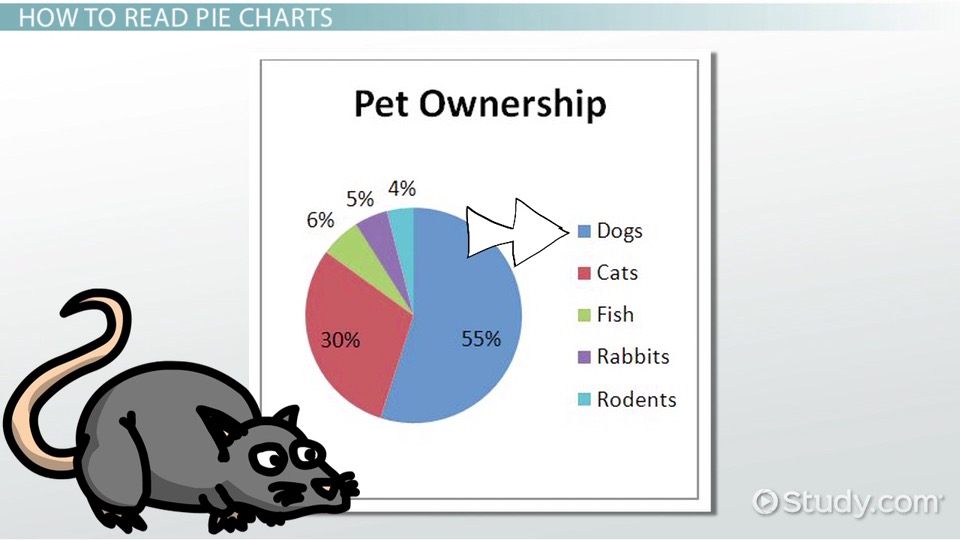 What Is A Pie Chart Definition Examples Video Lesson