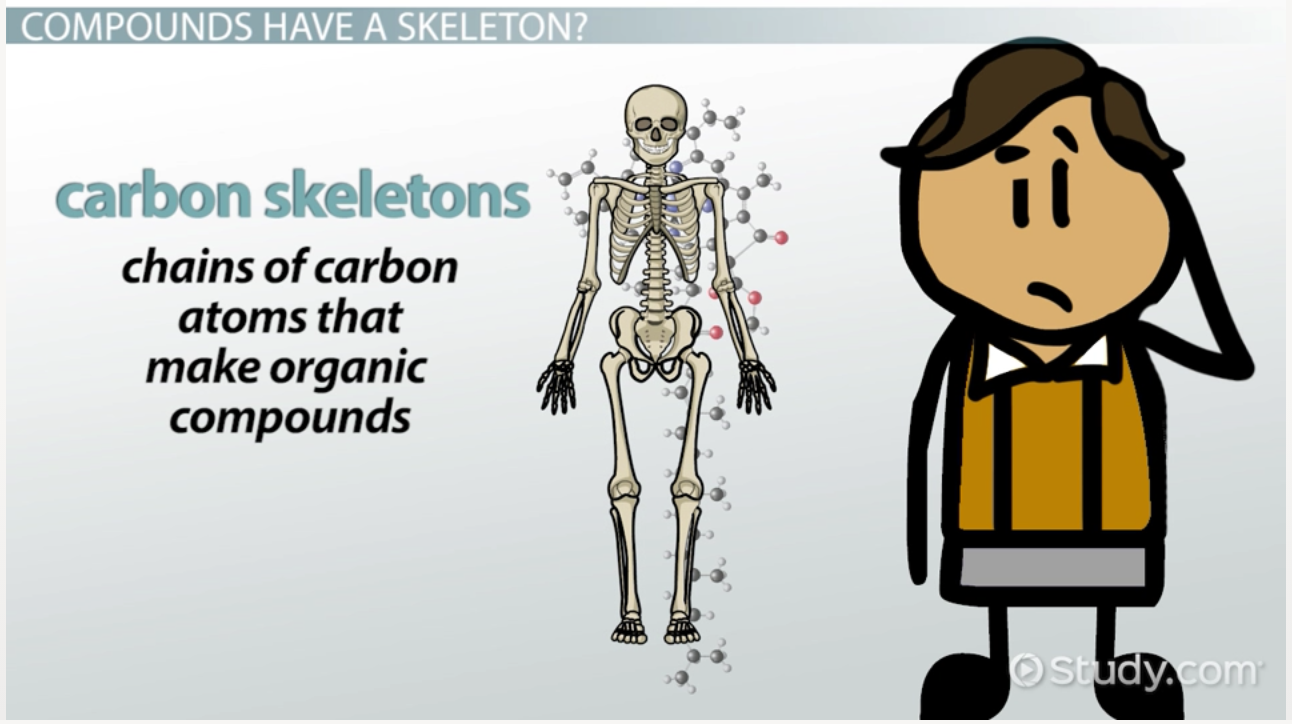 What Is A Carbon Skeleton Video Lesson Transcript Study