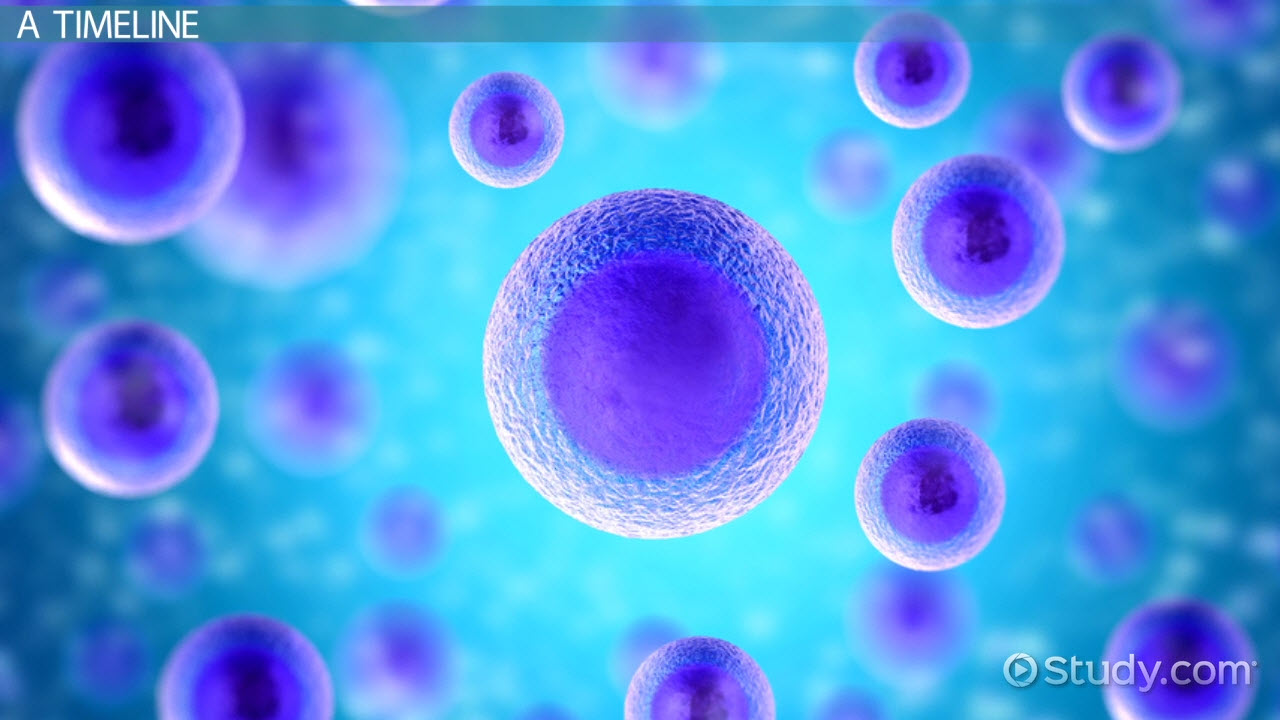 What Is Cell Theory Definition Timeline Parts Video Lesson