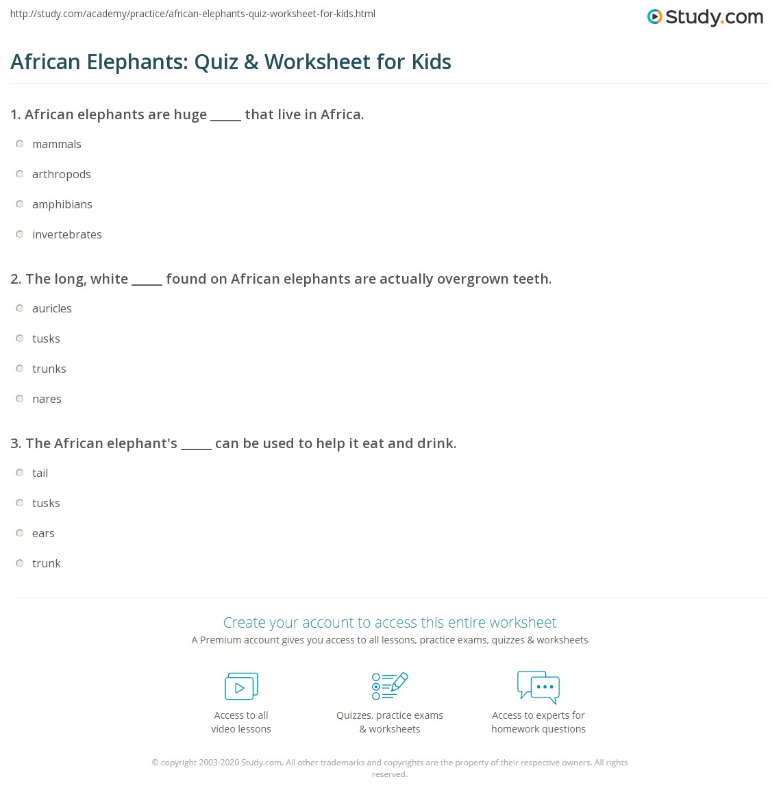 African Elephants: Quiz & Worksheet for Kids | Study.com