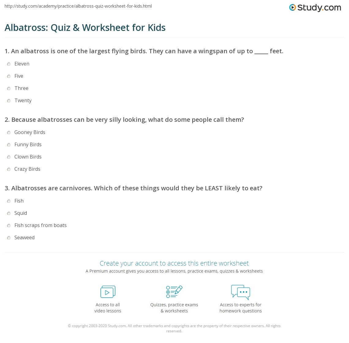 Albatross: Quiz & Worksheet for Kids | Study.com