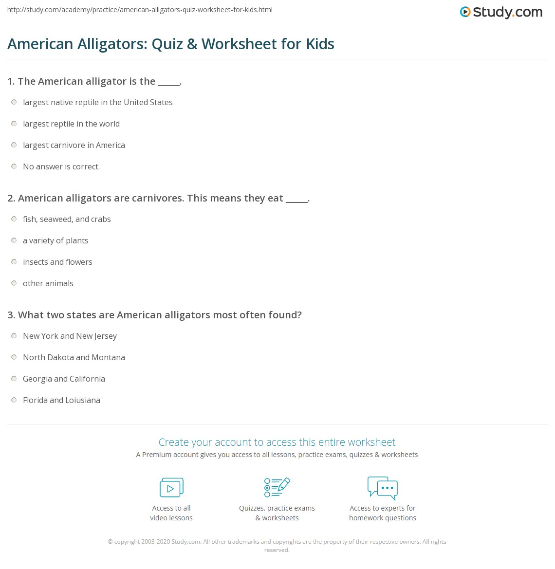 American Alligators: Quiz & Worksheet for Kids | Study.com