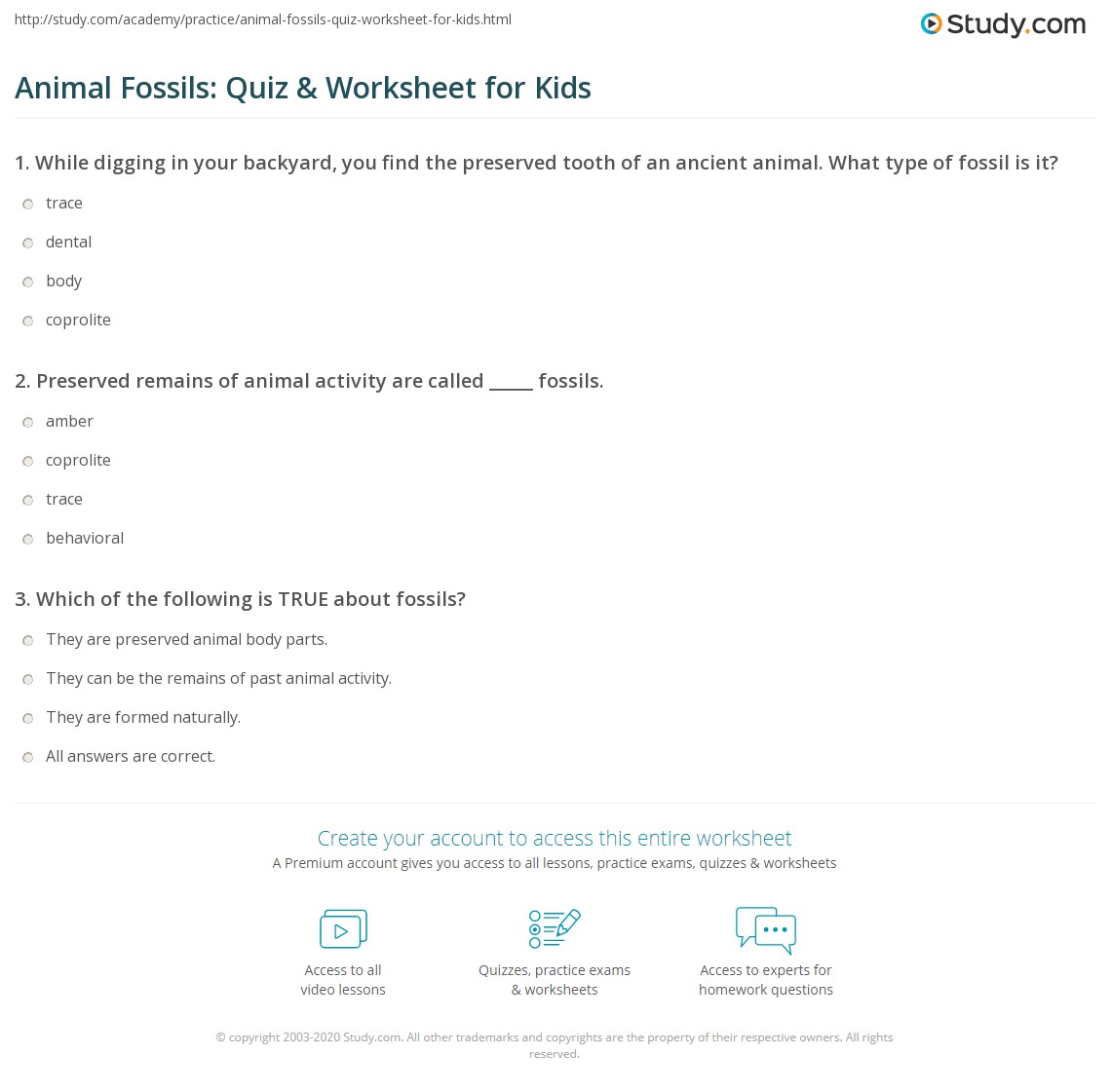 Animal Fossils: Quiz & Worksheet for Kids | Study.com