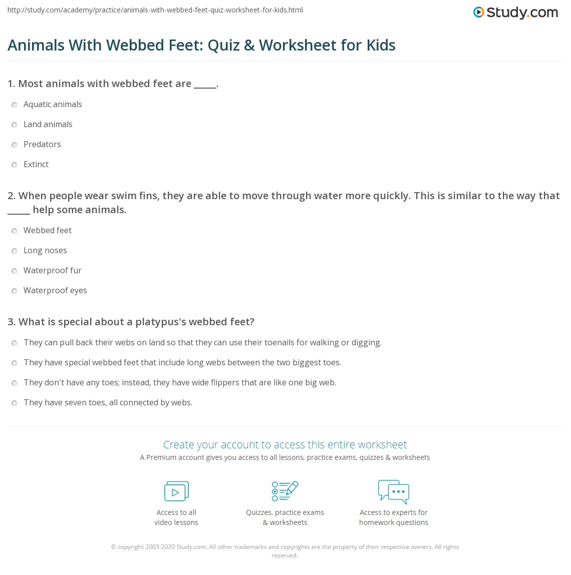 Animals With Webbed Feet: Quiz & Worksheet for Kids | Study.com