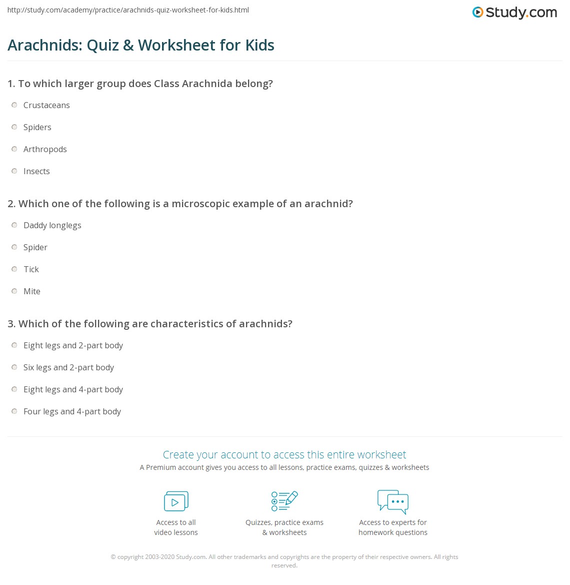 Arachnids: Quiz & Worksheet for Kids | Study.com
