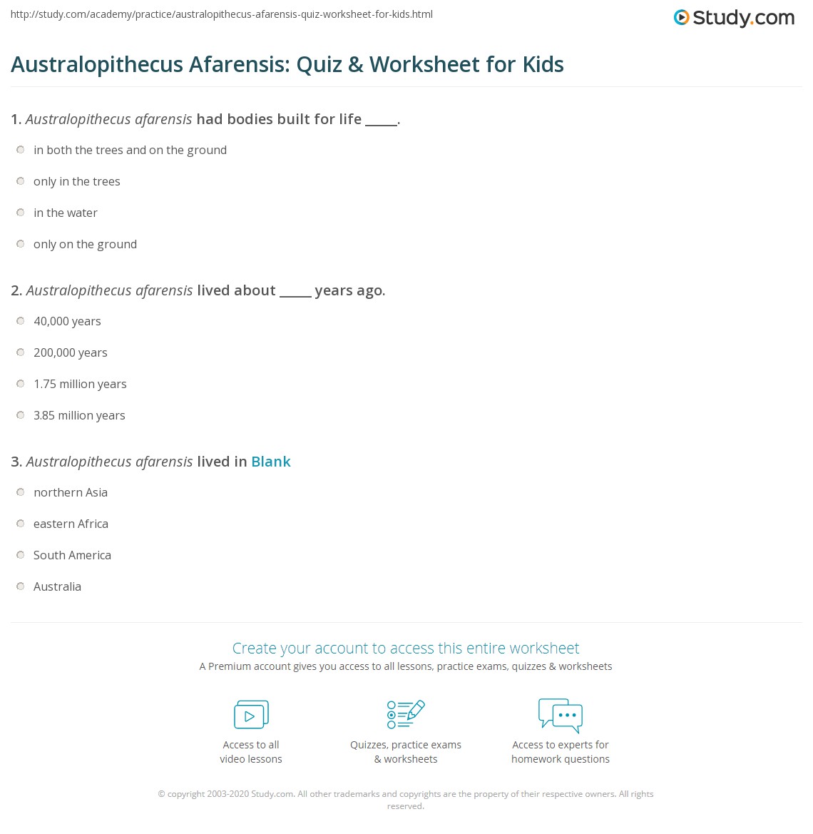 Australopithecus Afarensis: Quiz & Worksheet for Kids | Study.com