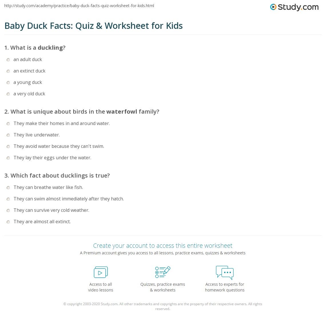 Baby Duck Facts: Quiz & Worksheet for Kids | Study.com