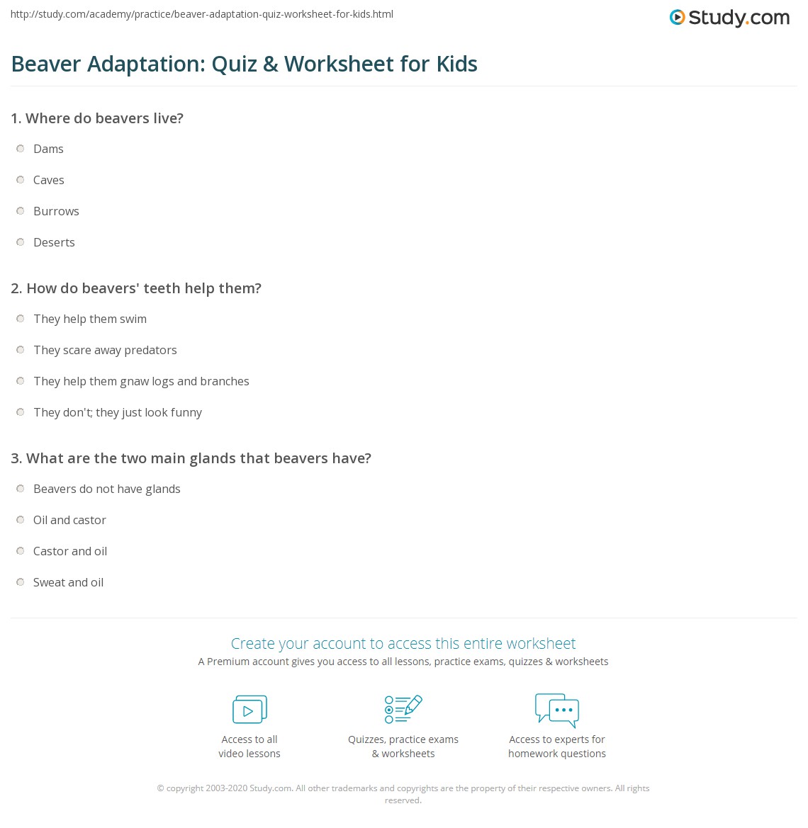Beaver Adaptation: Quiz & Worksheet for Kids | Study.com
