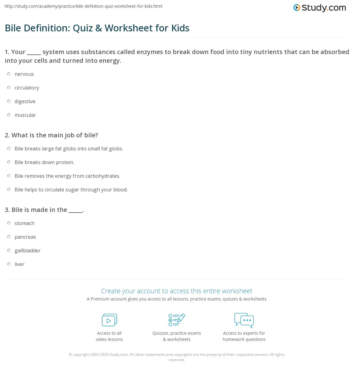 Bile Definition: Quiz & Worksheet for Kids | Study.com