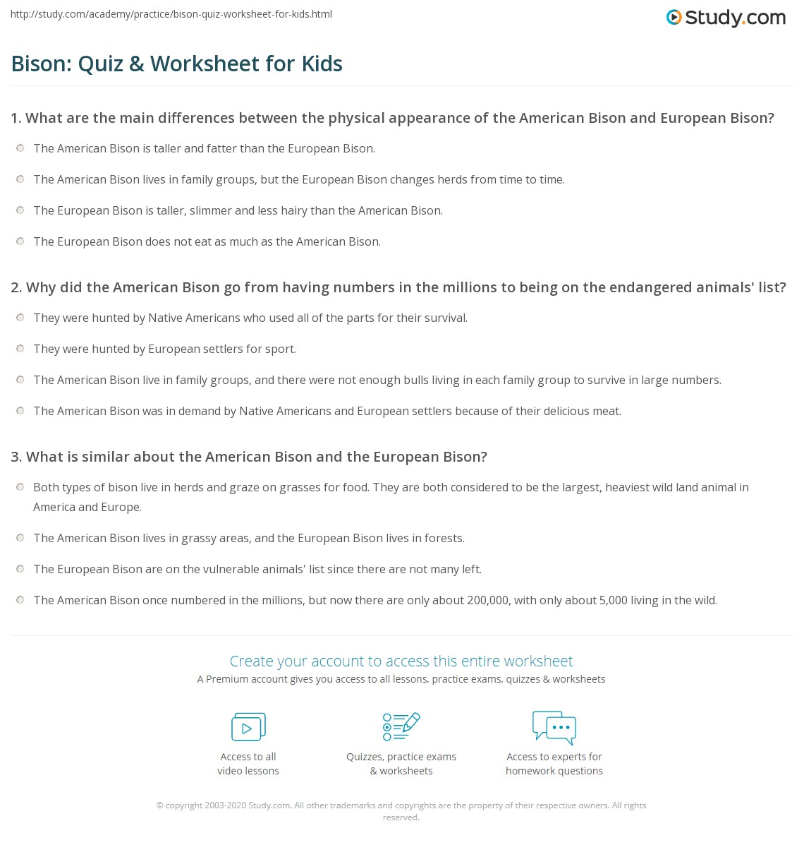 Bison: Quiz & Worksheet for Kids | Study.com