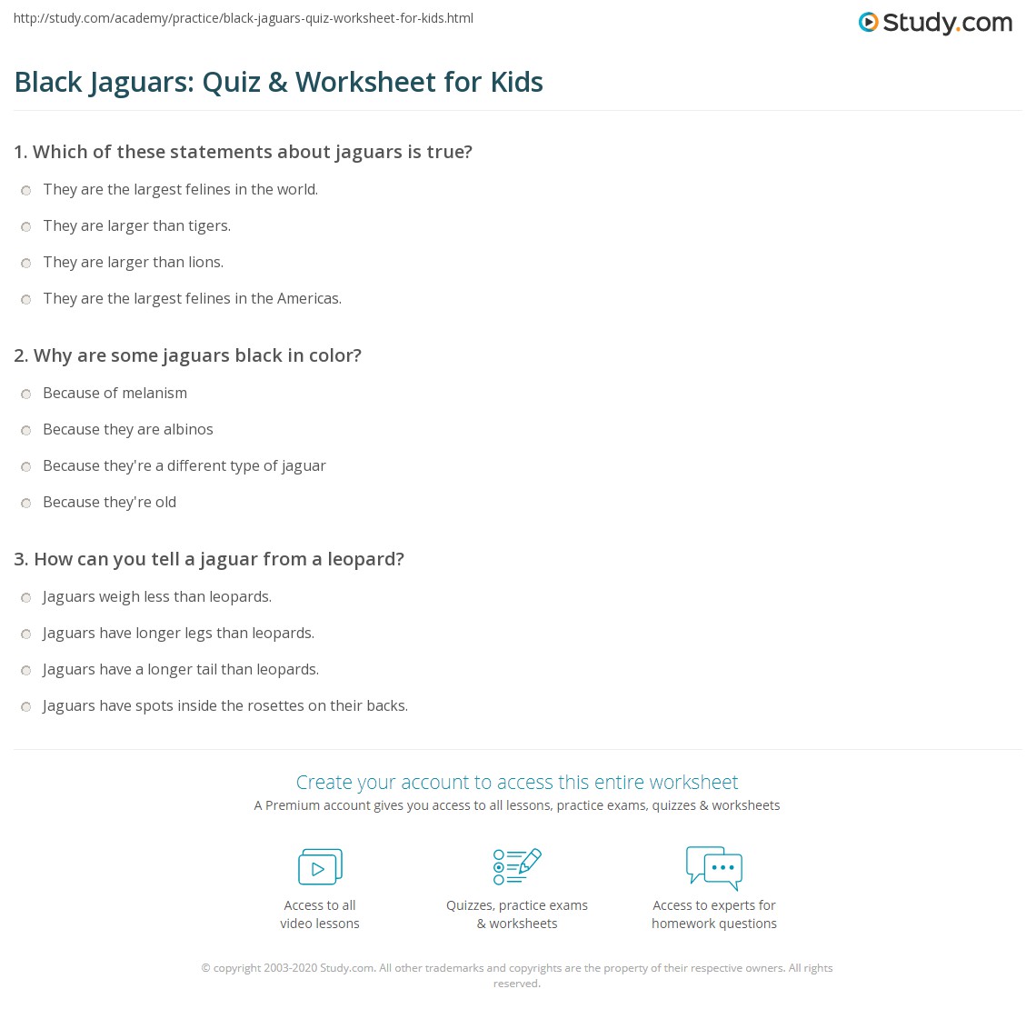 Black Jaguars: Quiz & Worksheet for Kids | Study.com