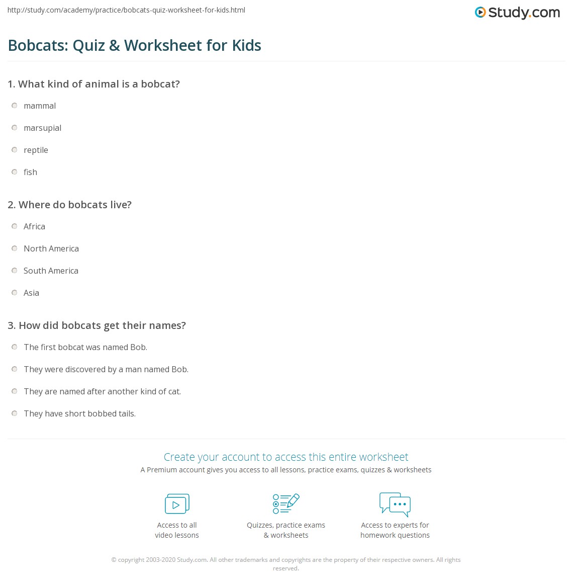 Bobcats: Quiz & Worksheet for Kids | Study.com