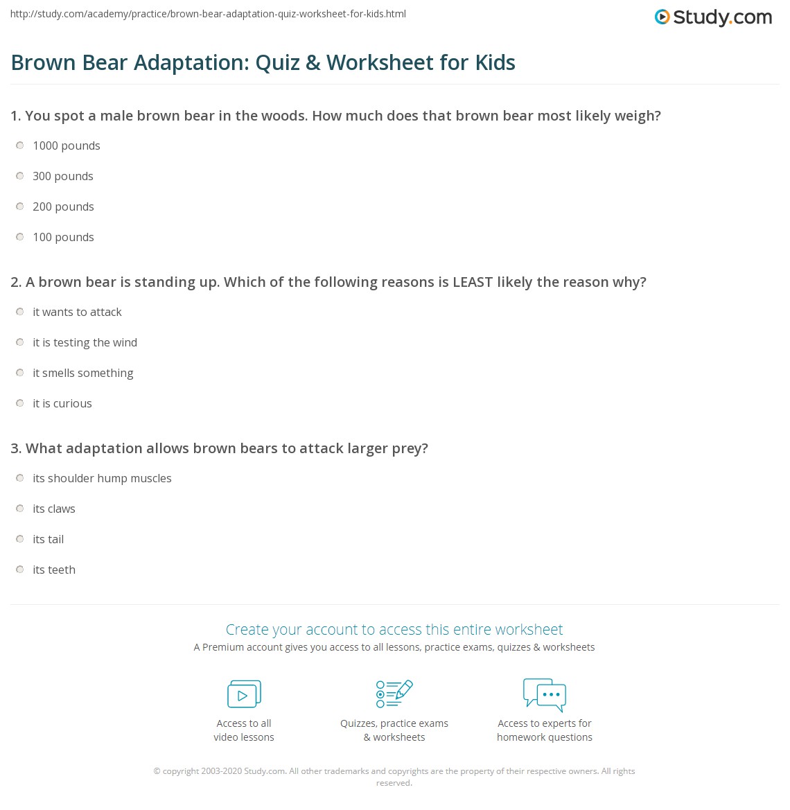 Brown Bear Adaptation: Quiz & Worksheet for Kids | Study.com