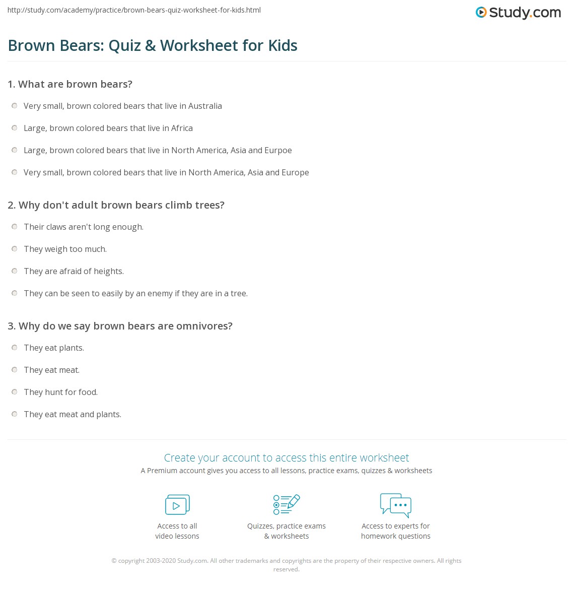 Brown Bears: Quiz & Worksheet for Kids | Study.com