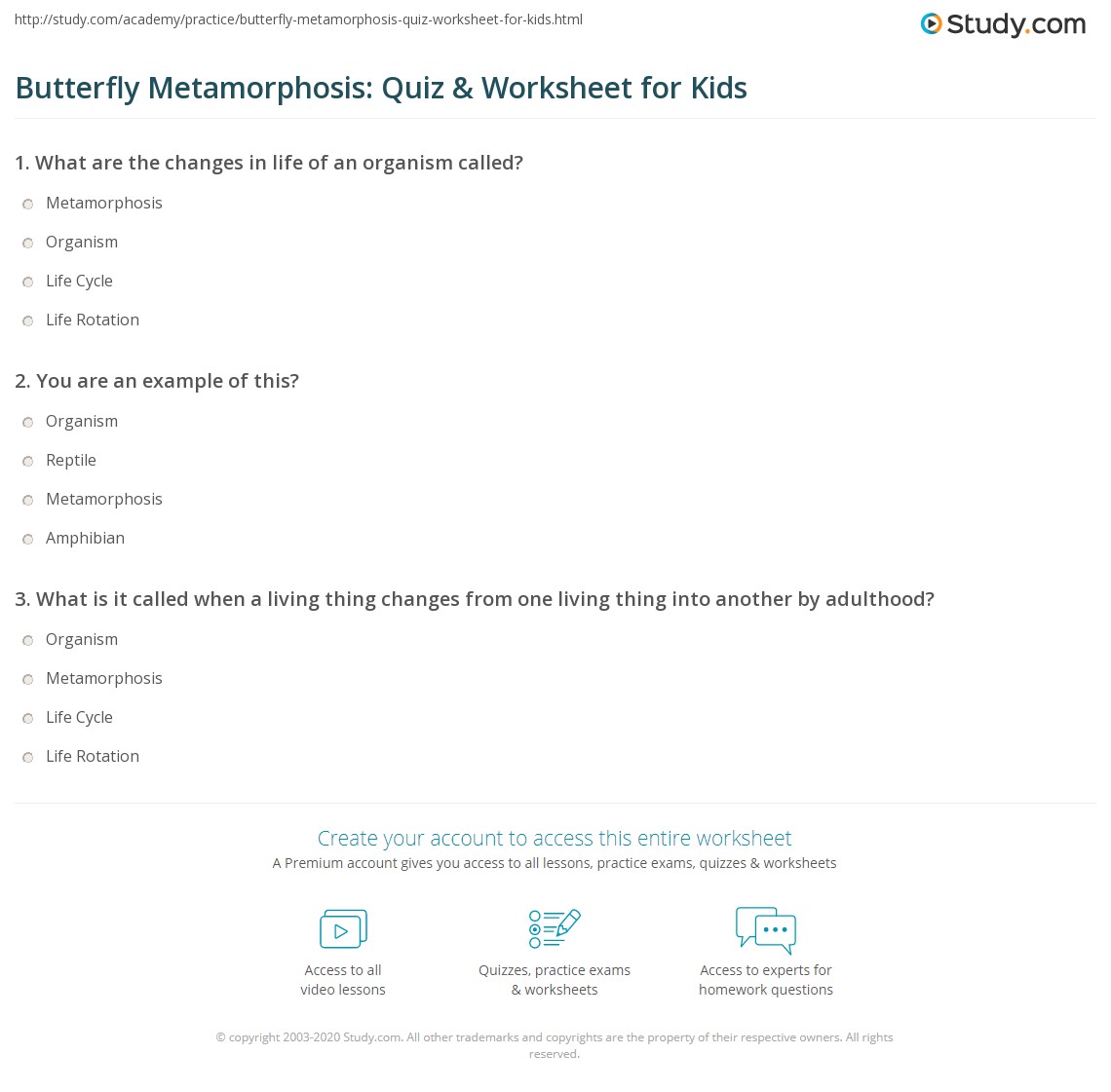 Butterfly Metamorphosis: Quiz & Worksheet for Kids | Study.com