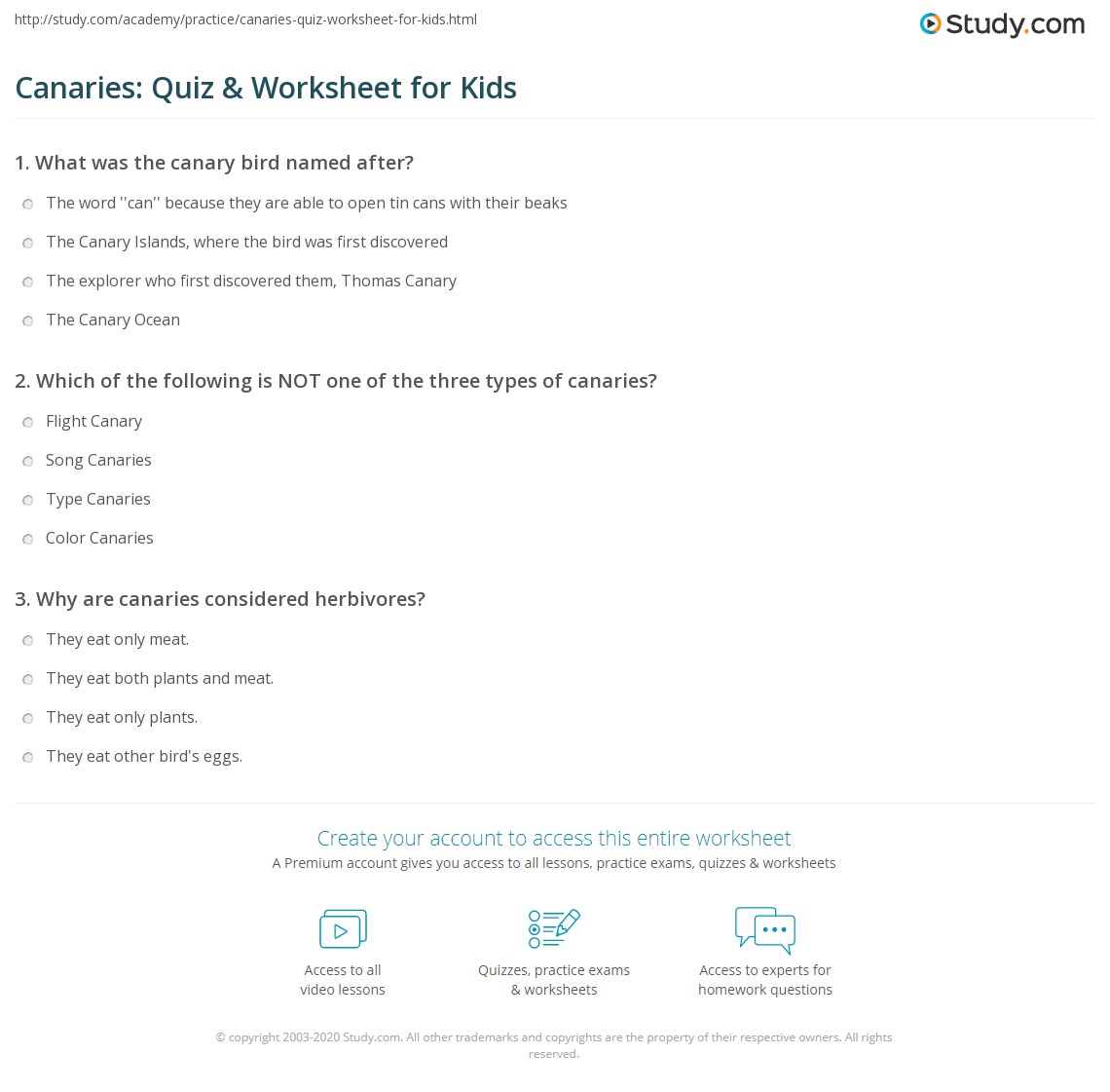 Canaries: Quiz & Worksheet for Kids | Study.com