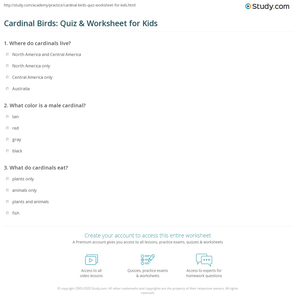 Cardinal Birds: Quiz & Worksheet for Kids | Study.com
