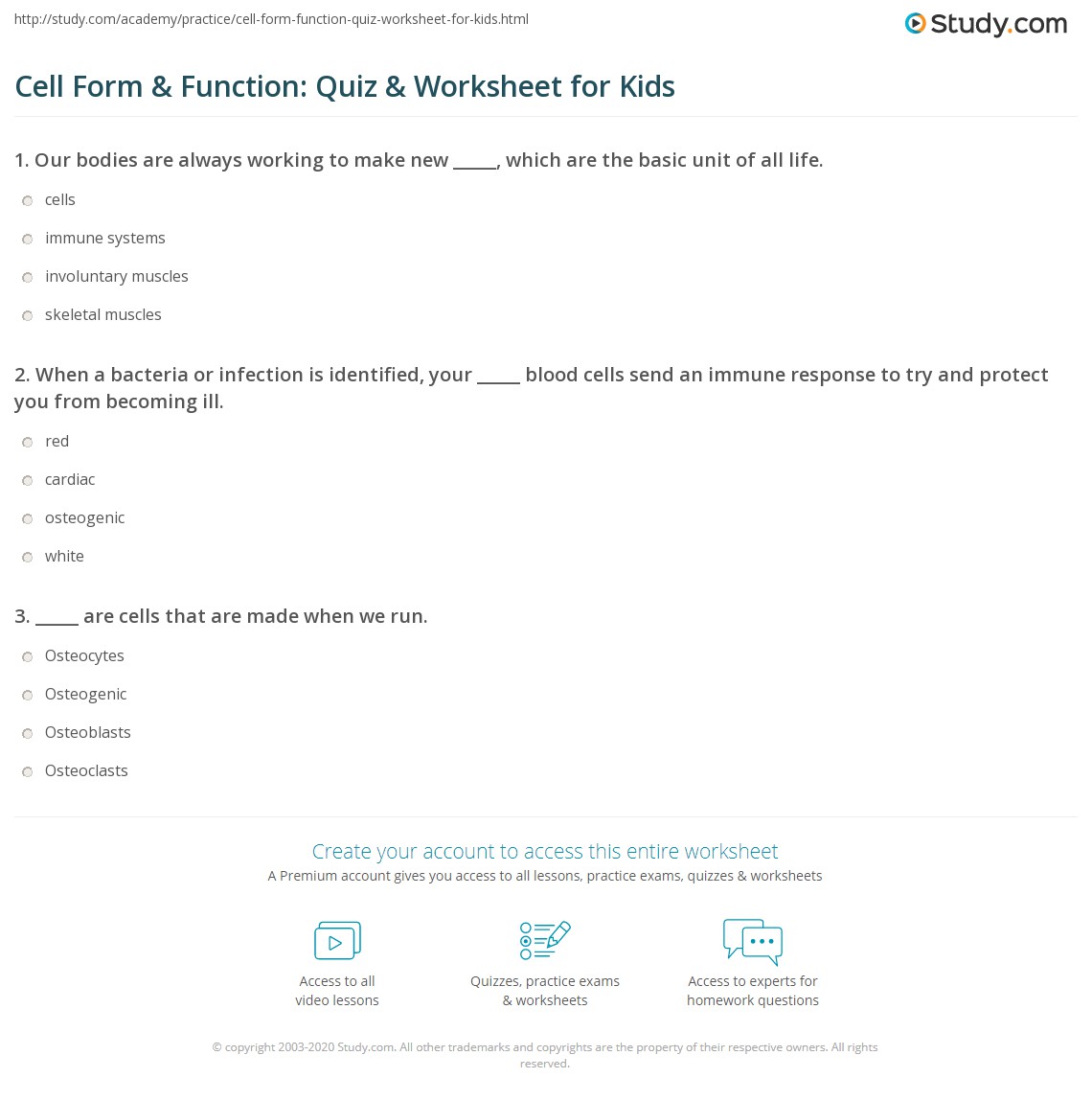 Cell Form & Function: Quiz & Worksheet for Kids | Study.com