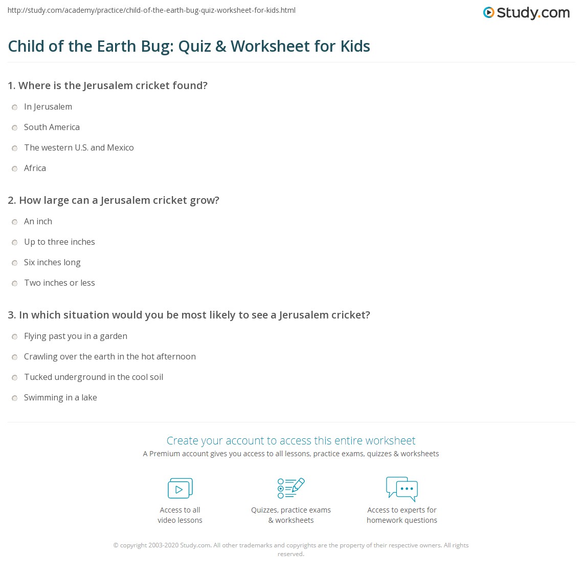 Child of the Earth Bug: Quiz & Worksheet for Kids | Study.com