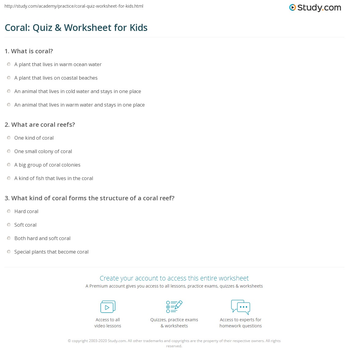 Coral: Quiz & Worksheet for Kids | Study.com