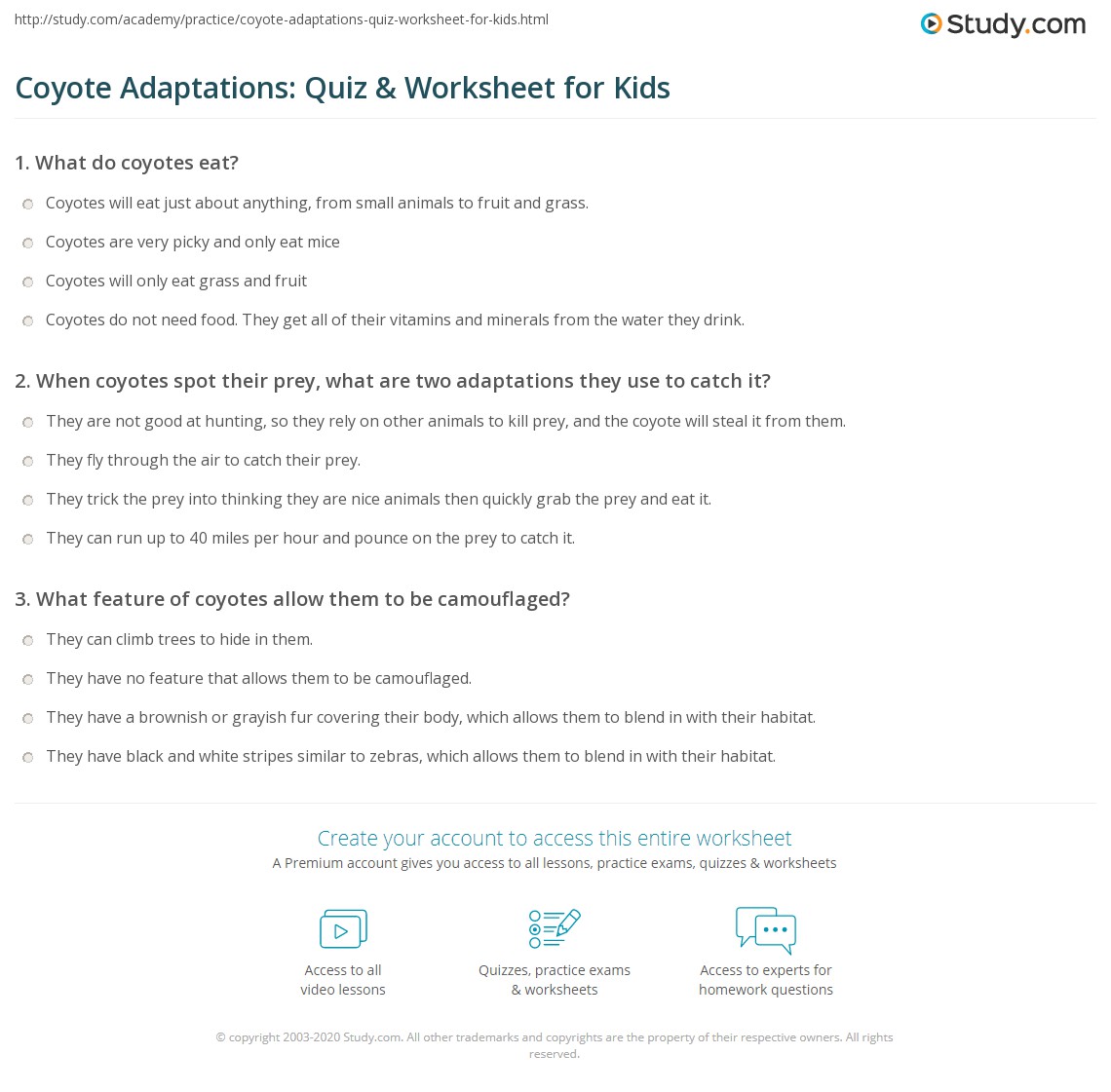 Coyote Adaptations: Quiz & Worksheet for Kids | Study.com