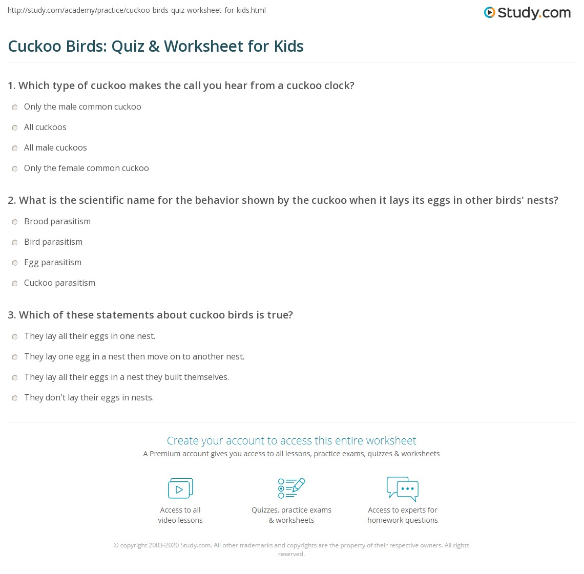 Cuckoo Birds: Quiz & Worksheet for Kids | Study.com