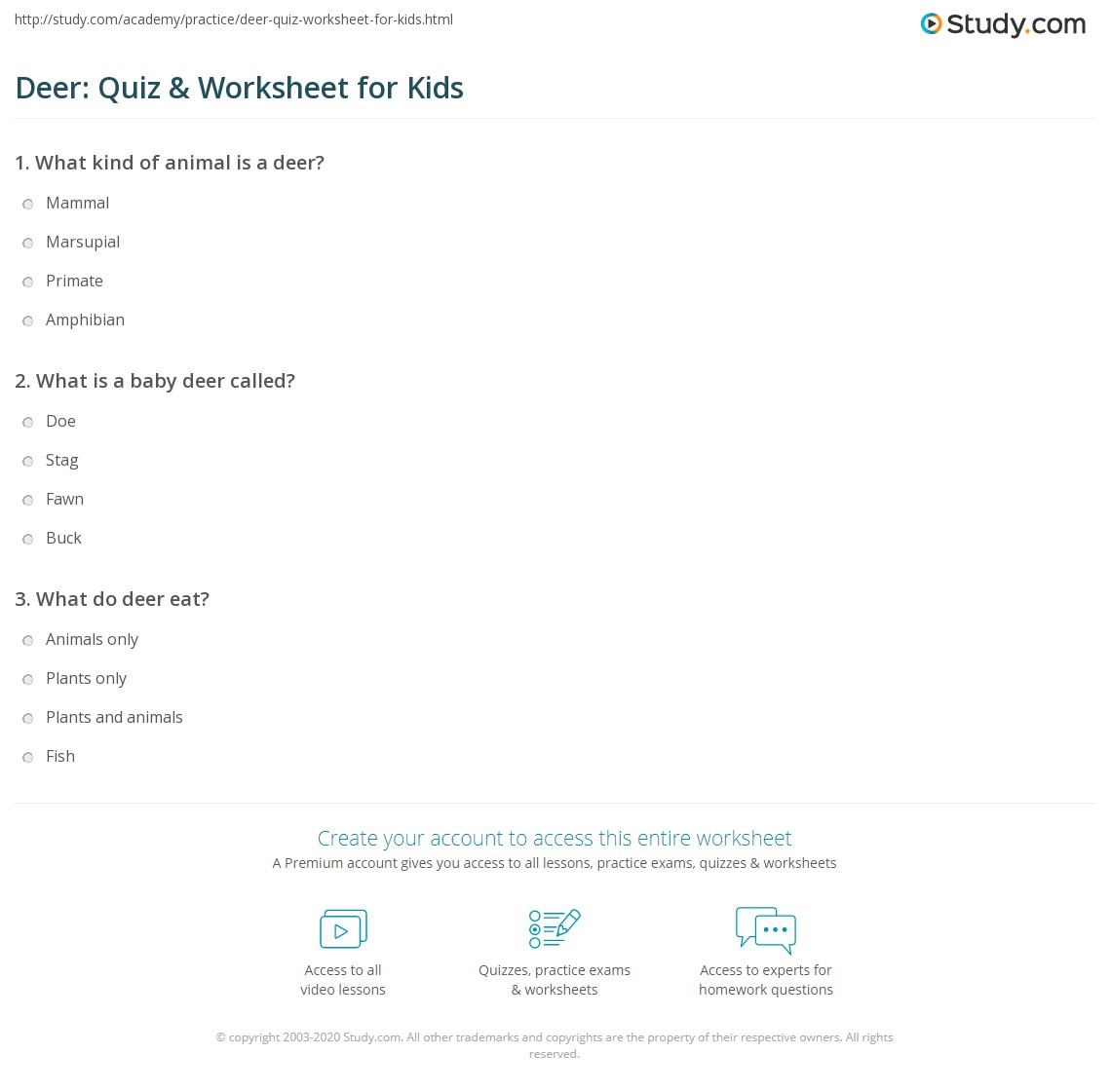 Deer: Quiz & Worksheet for Kids | Study.com