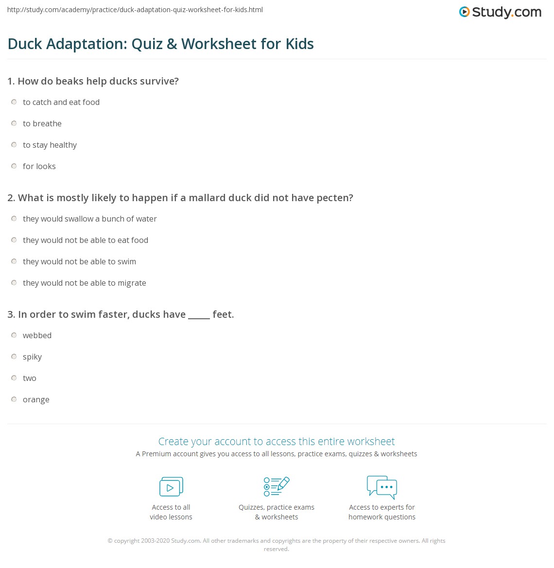 Duck Adaptation: Quiz & Worksheet for Kids | Study.com