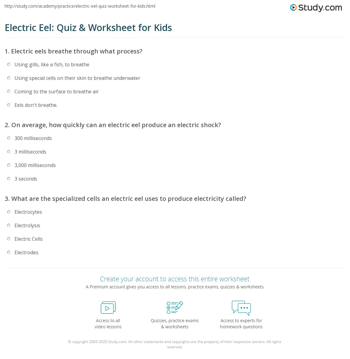 Electric Eel: Quiz & Worksheet for Kids | Study.com