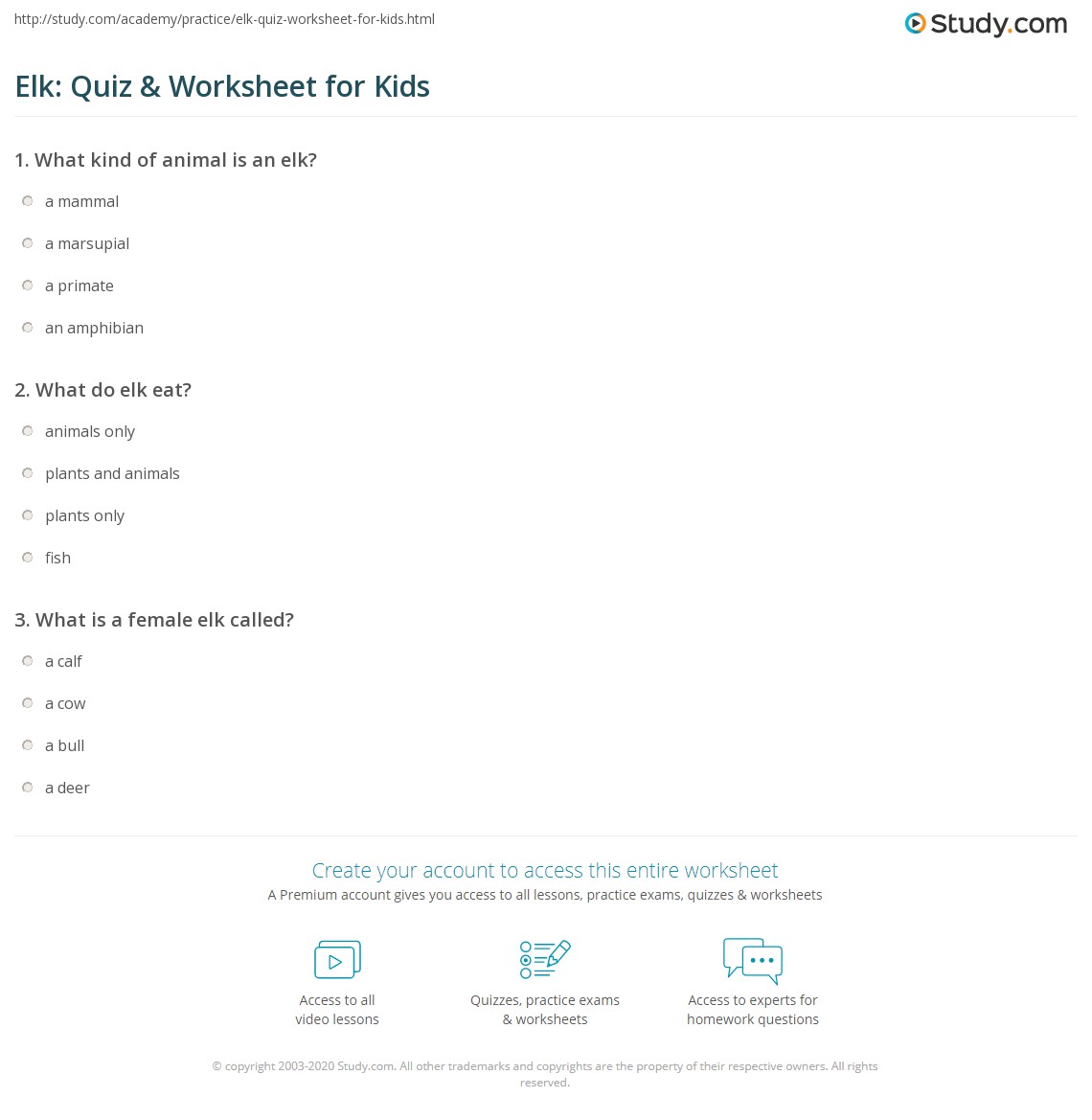 Elk: Quiz & Worksheet for Kids | Study.com