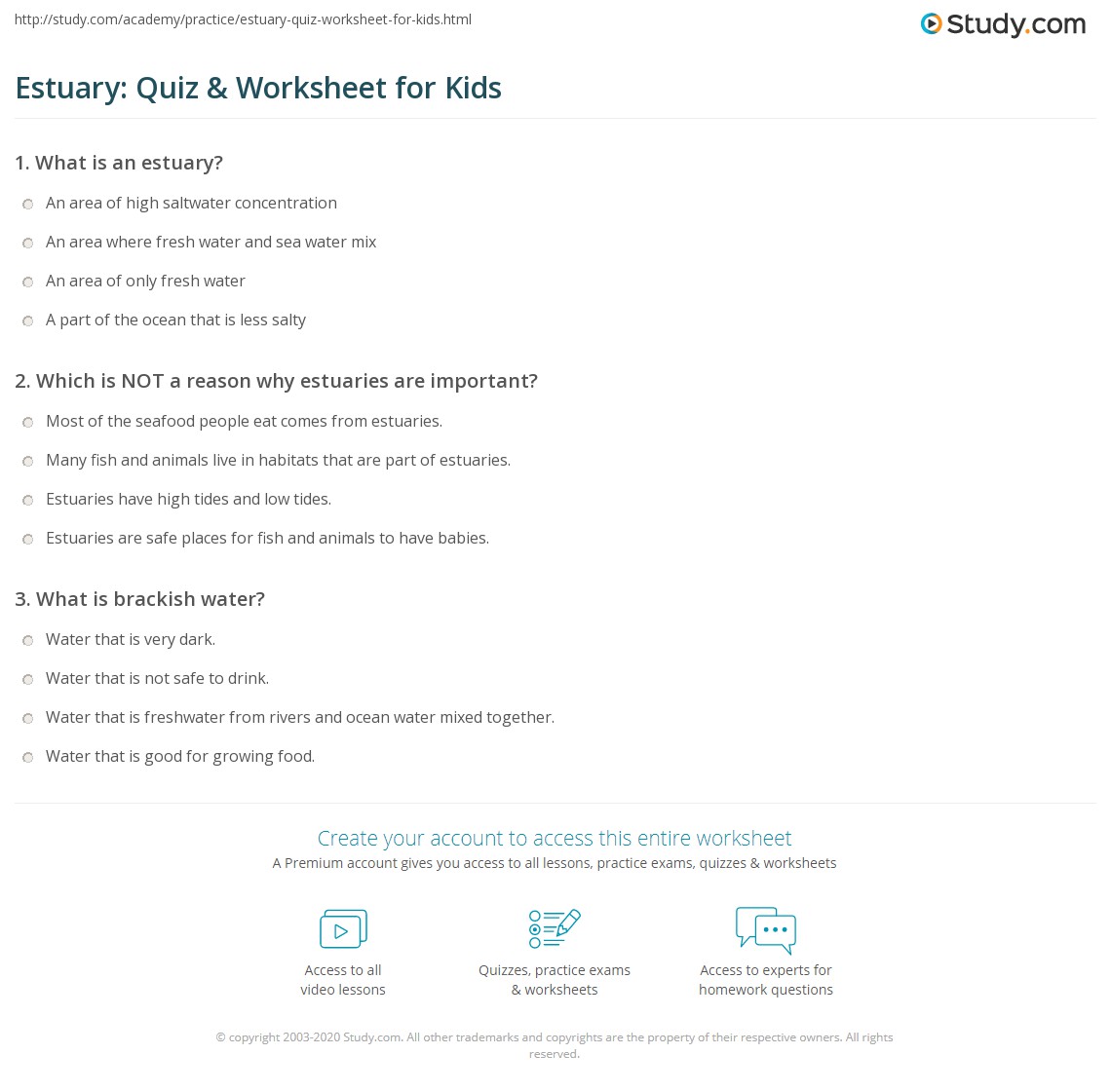 Estuary: Quiz & Worksheet for Kids | Study.com