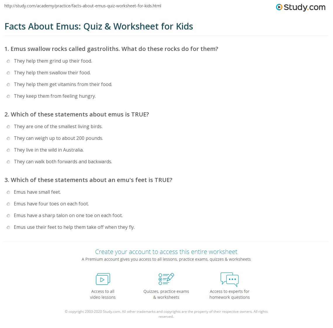 Facts About Emus: Quiz & Worksheet for Kids | Study.com