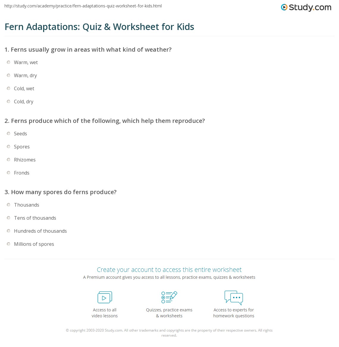 Fern Adaptations: Quiz & Worksheet for Kids | Study.com