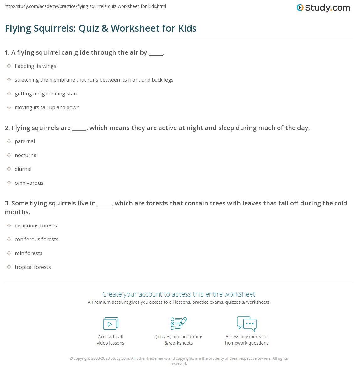 Flying Squirrels: Quiz & Worksheet for Kids | Study.com
