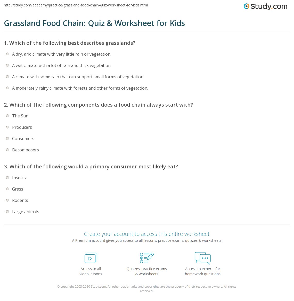 Grassland Food Chain: Quiz & Worksheet for Kids | Study.com