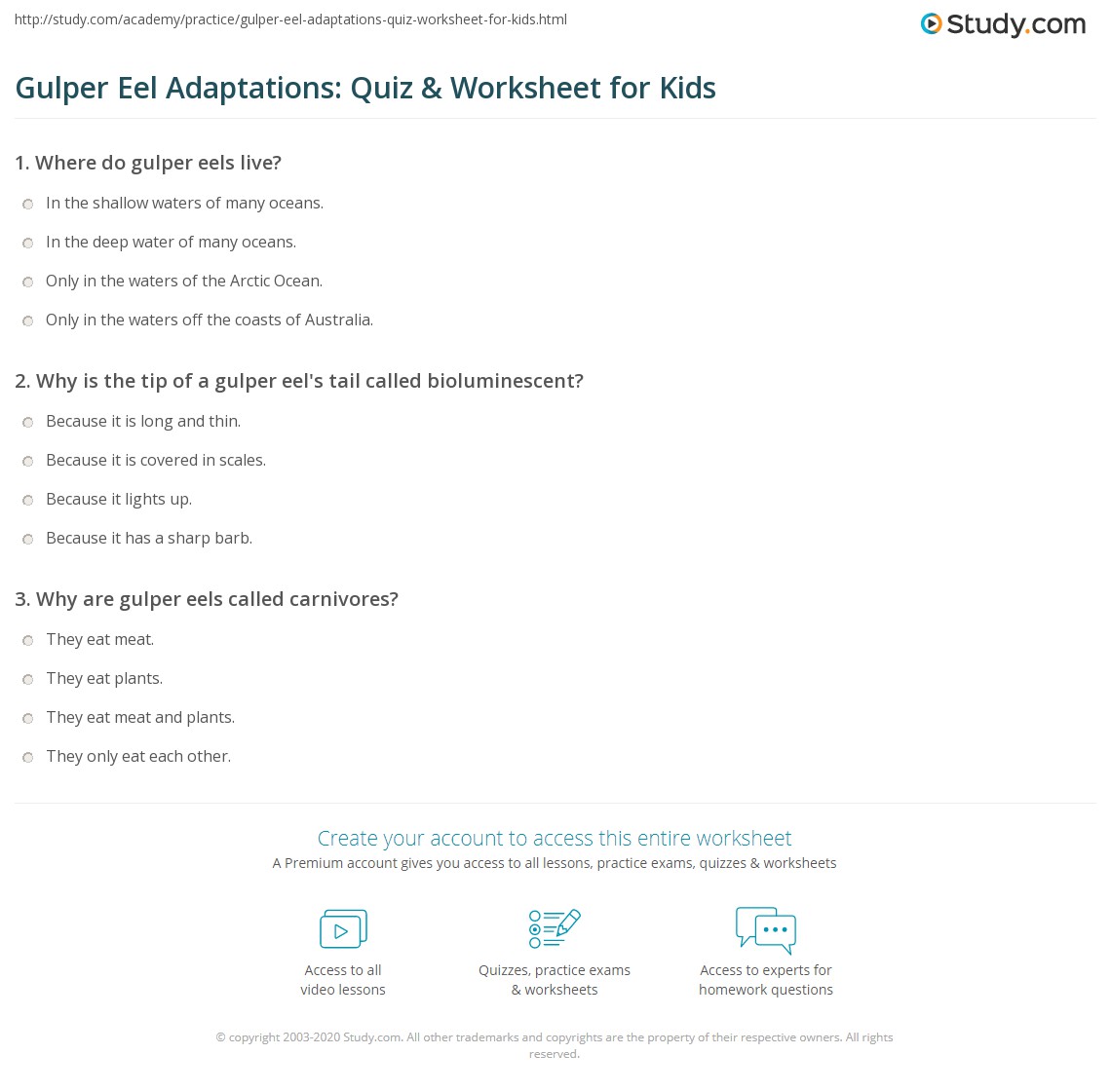 Gulper Eel Adaptations: Quiz & Worksheet for Kids | Study.com