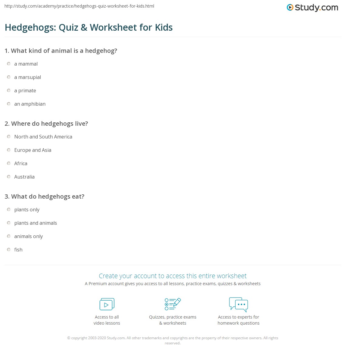 Hedgehogs: Quiz & Worksheet for Kids | Study.com