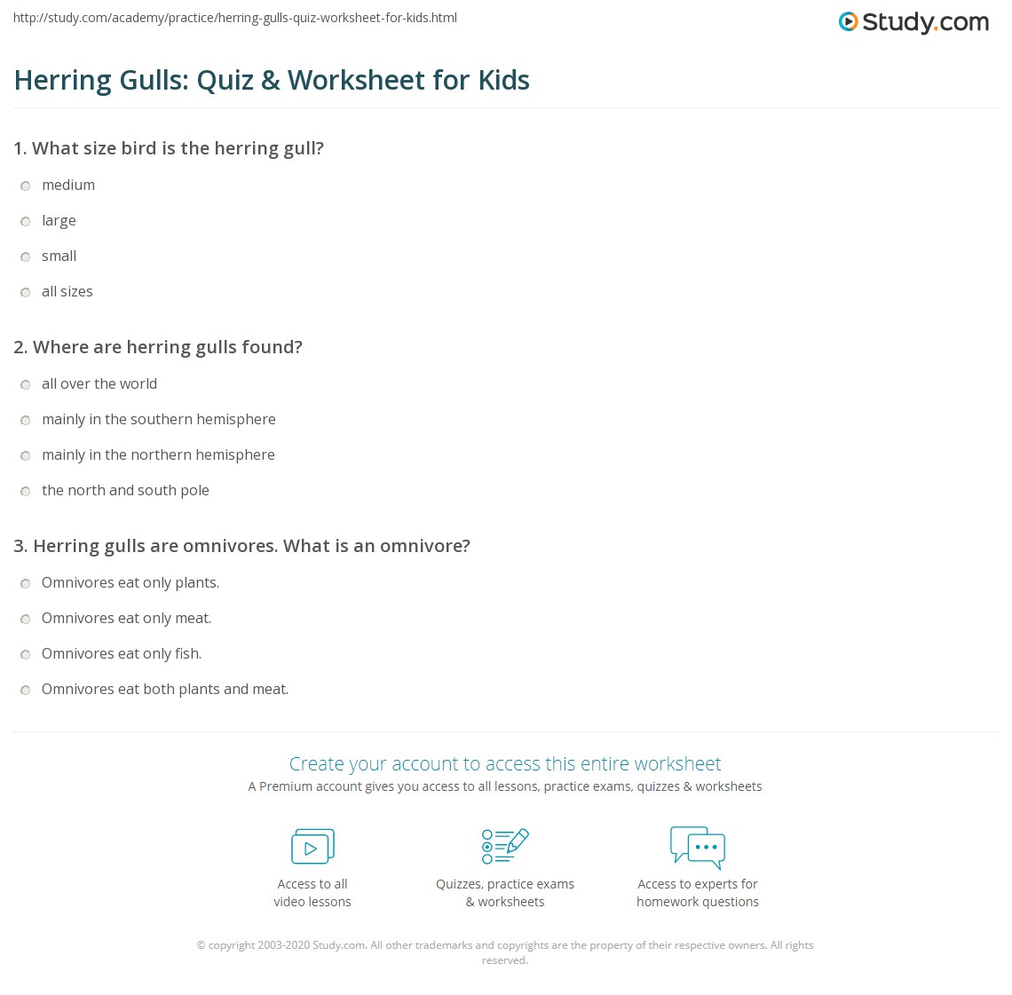Herring Gulls: Quiz & Worksheet for Kids | Study.com