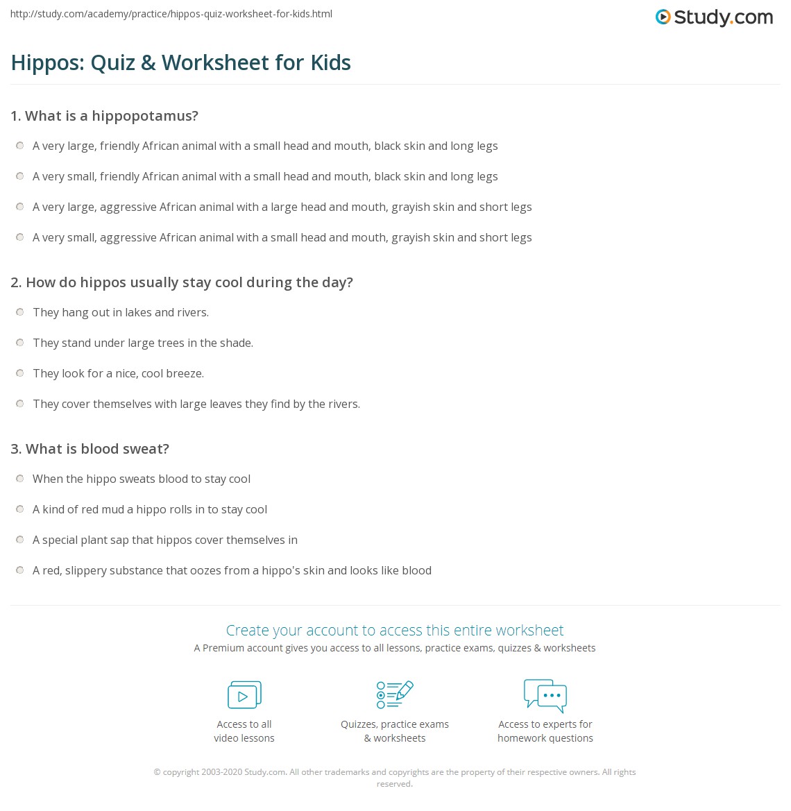 Hippos: Quiz & Worksheet for Kids | Study.com