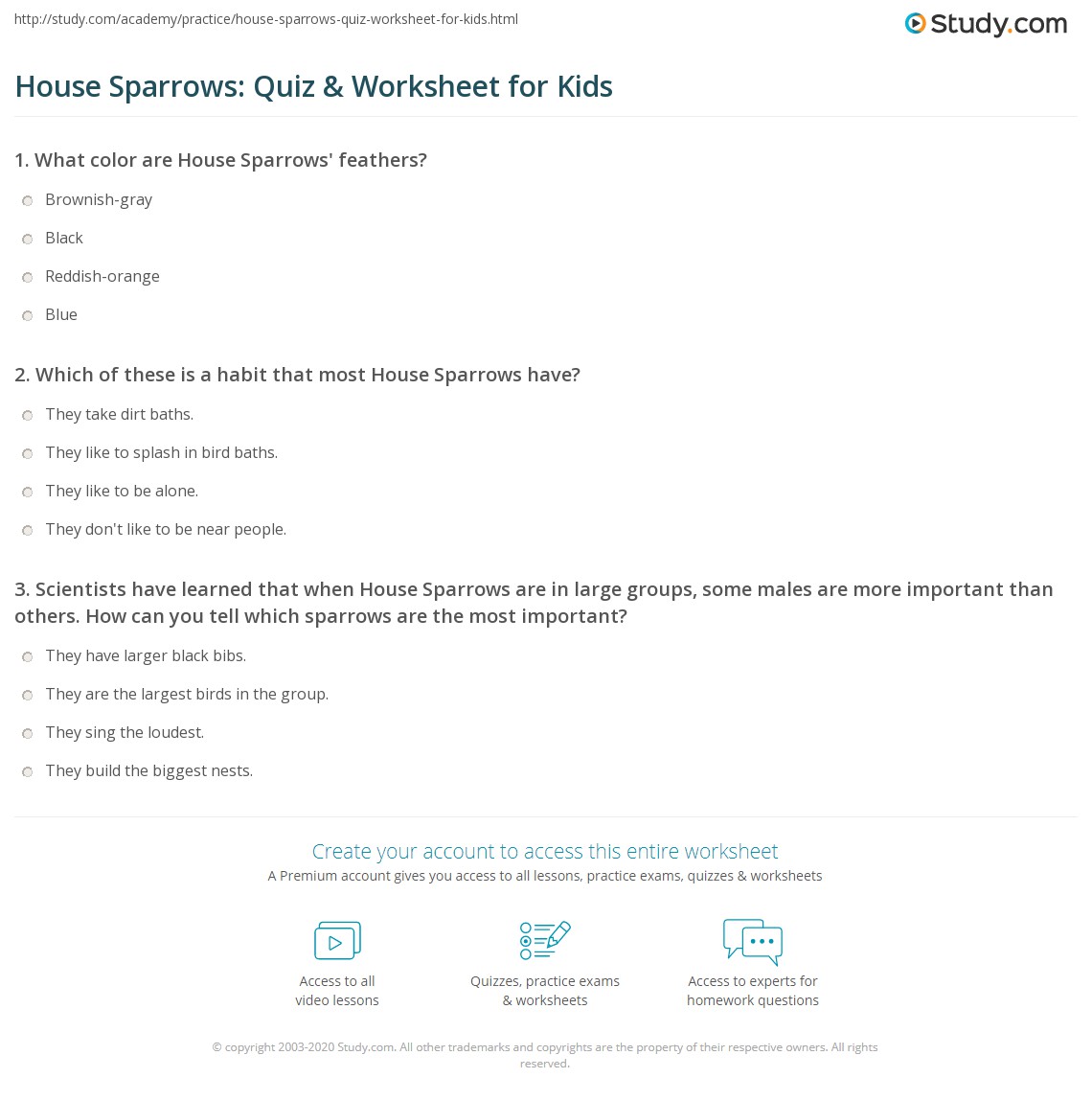 House Sparrows: Quiz & Worksheet for Kids | Study.com