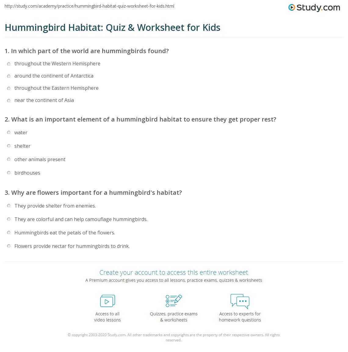 Hummingbird Habitat: Quiz & Worksheet for Kids | Study.com