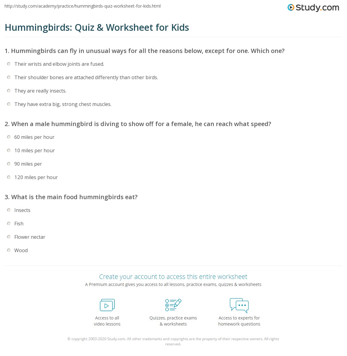 Hummingbirds: Quiz & Worksheet for Kids | Study.com