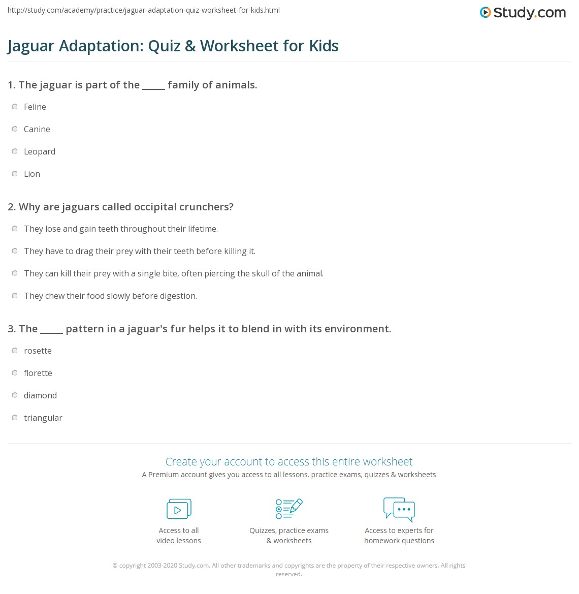 Jaguar Adaptation: Quiz & Worksheet for Kids | Study.com
