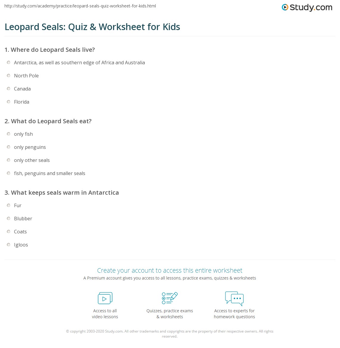 Leopard Seals: Quiz & Worksheet for Kids | Study.com