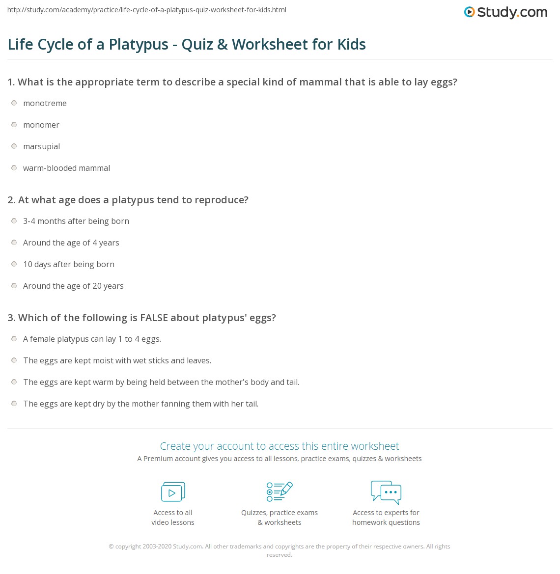 Life Cycle of a Platypus - Quiz & Worksheet for Kids | Study.com