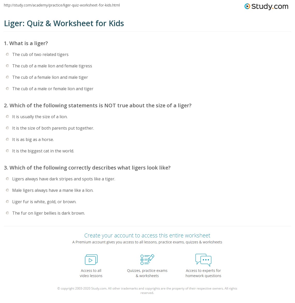 Liger: Quiz & Worksheet for Kids | Study.com