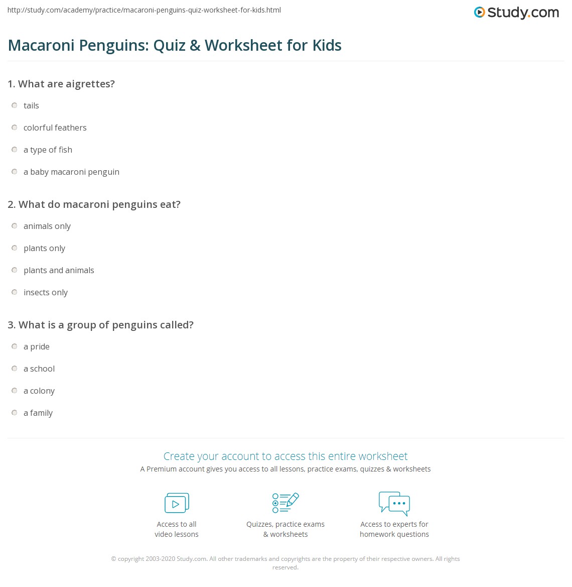 Macaroni Penguins: Quiz & Worksheet for Kids | Study.com