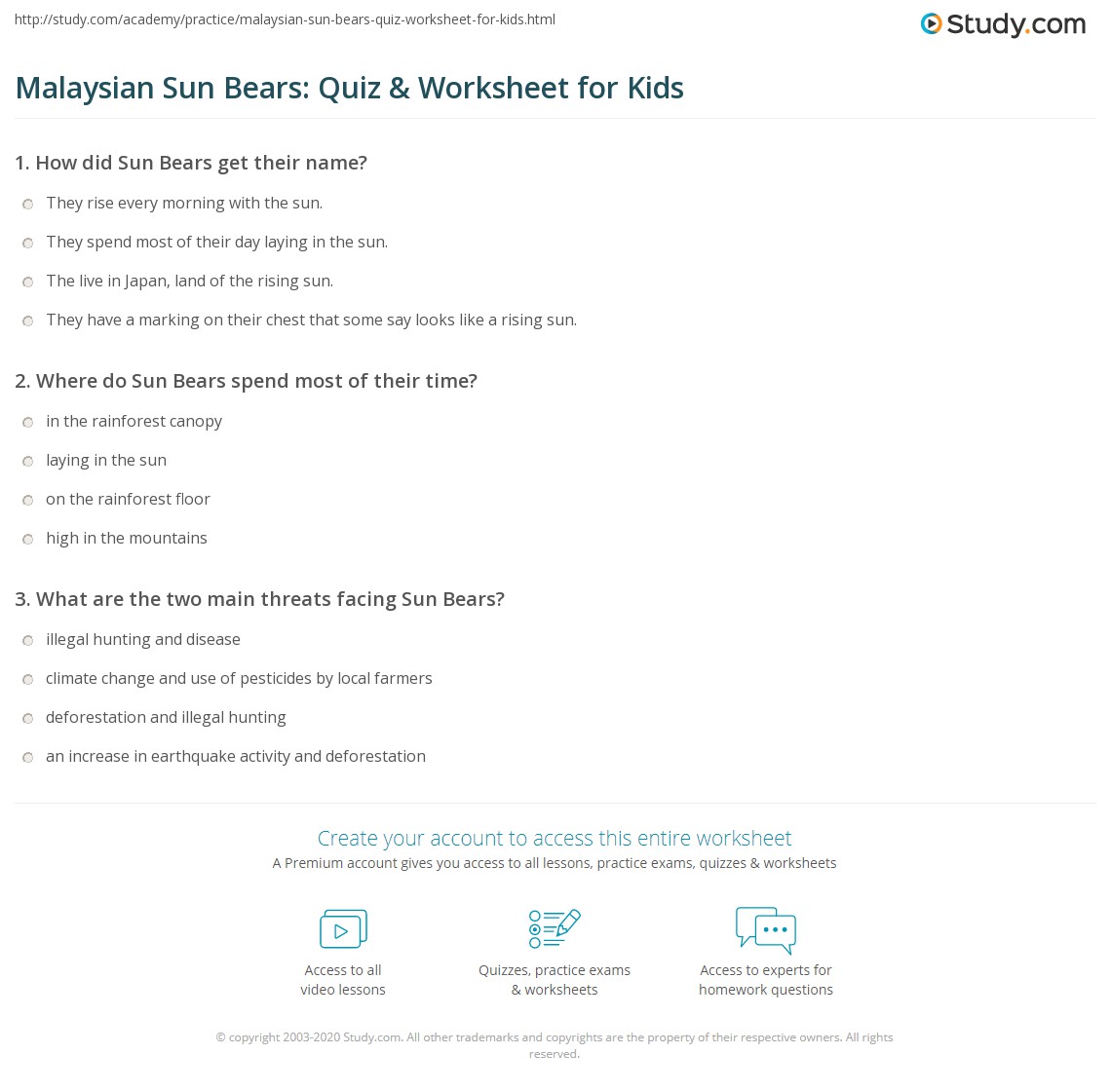 Malaysian Sun Bears: Quiz & Worksheet for Kids | Study.com